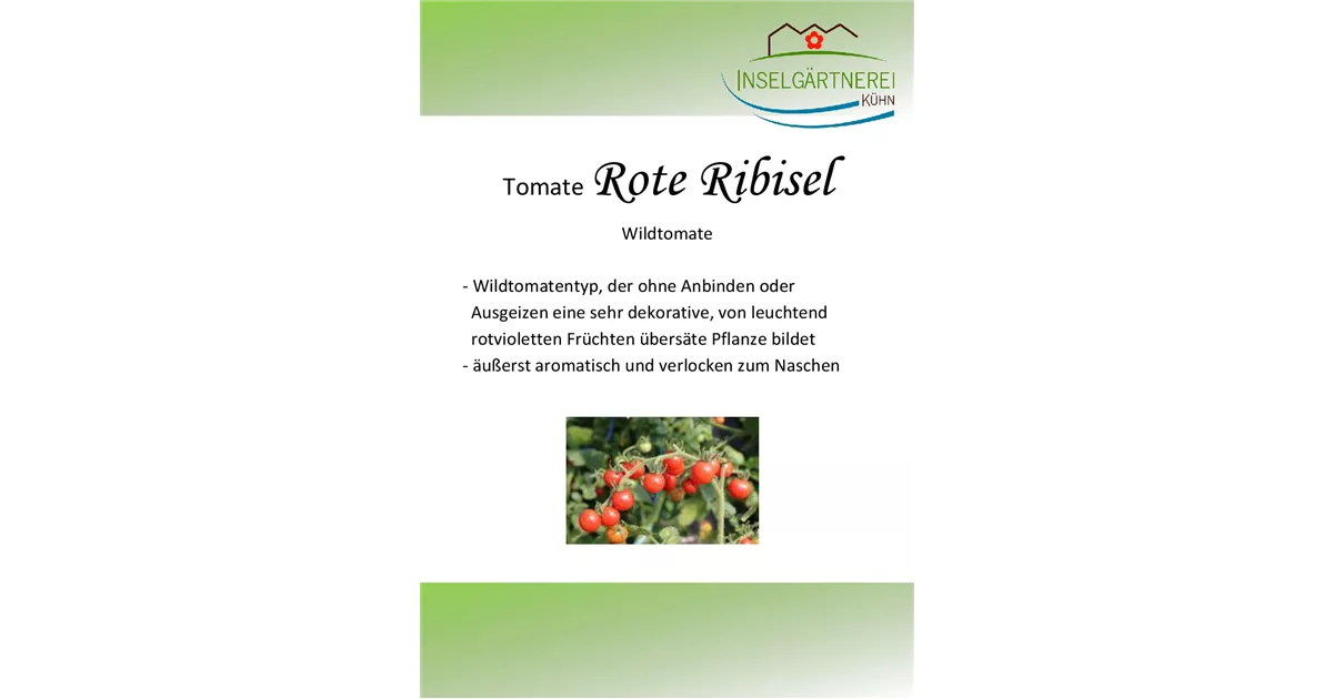 Rote Ribisel